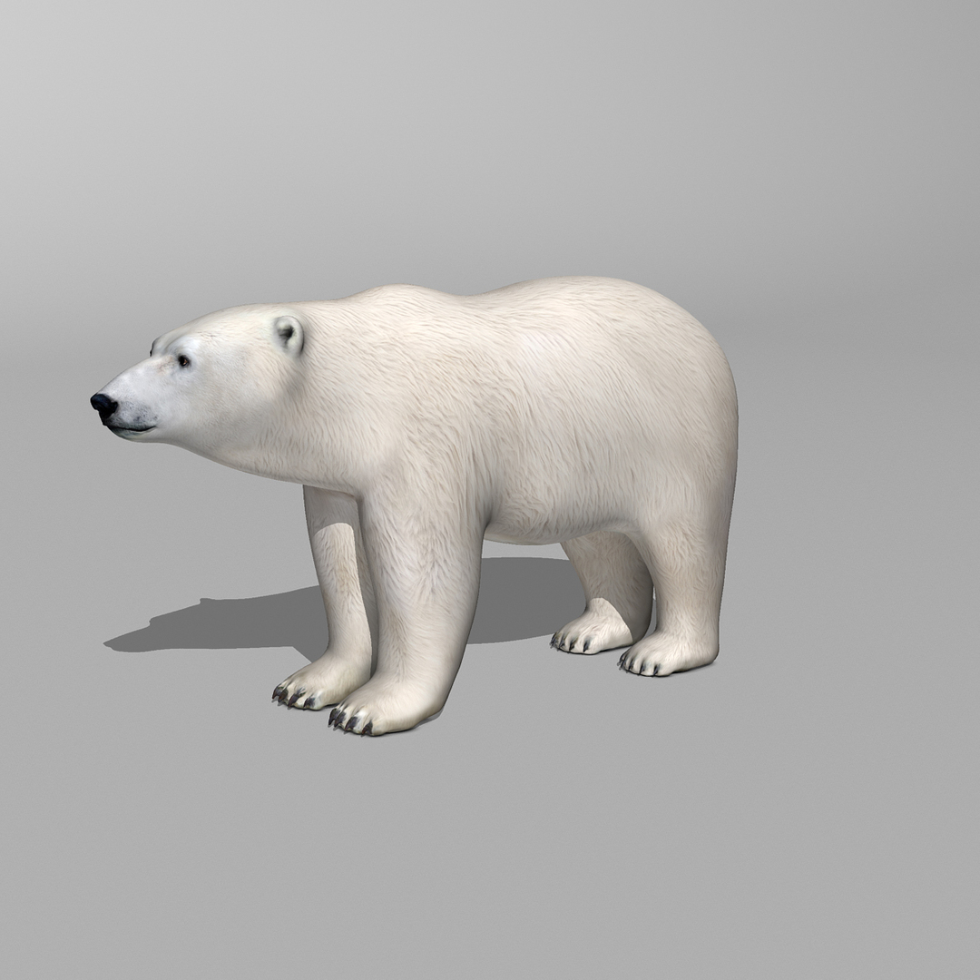 Realistic Polar Obj