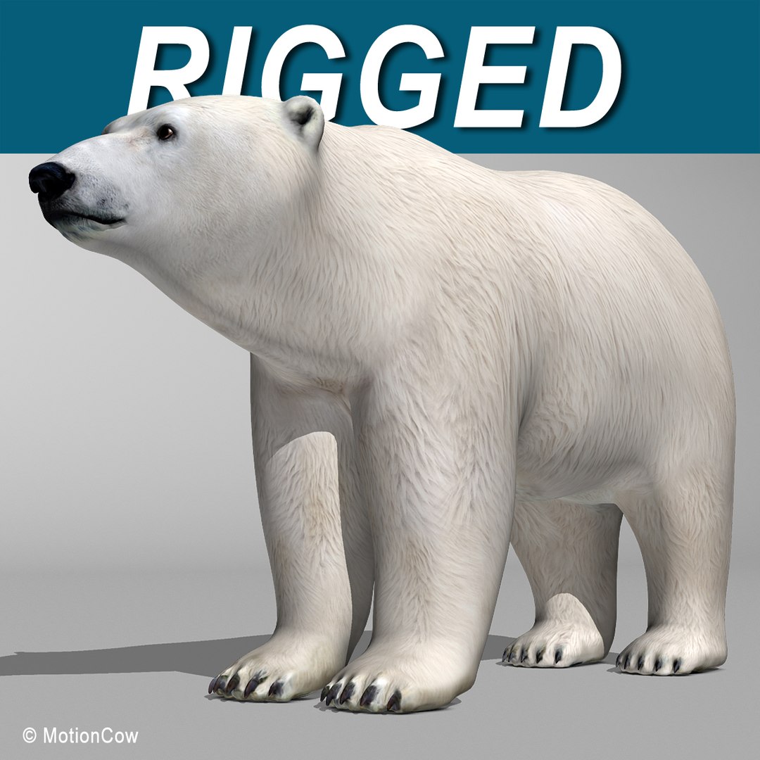 Realistic Polar Obj