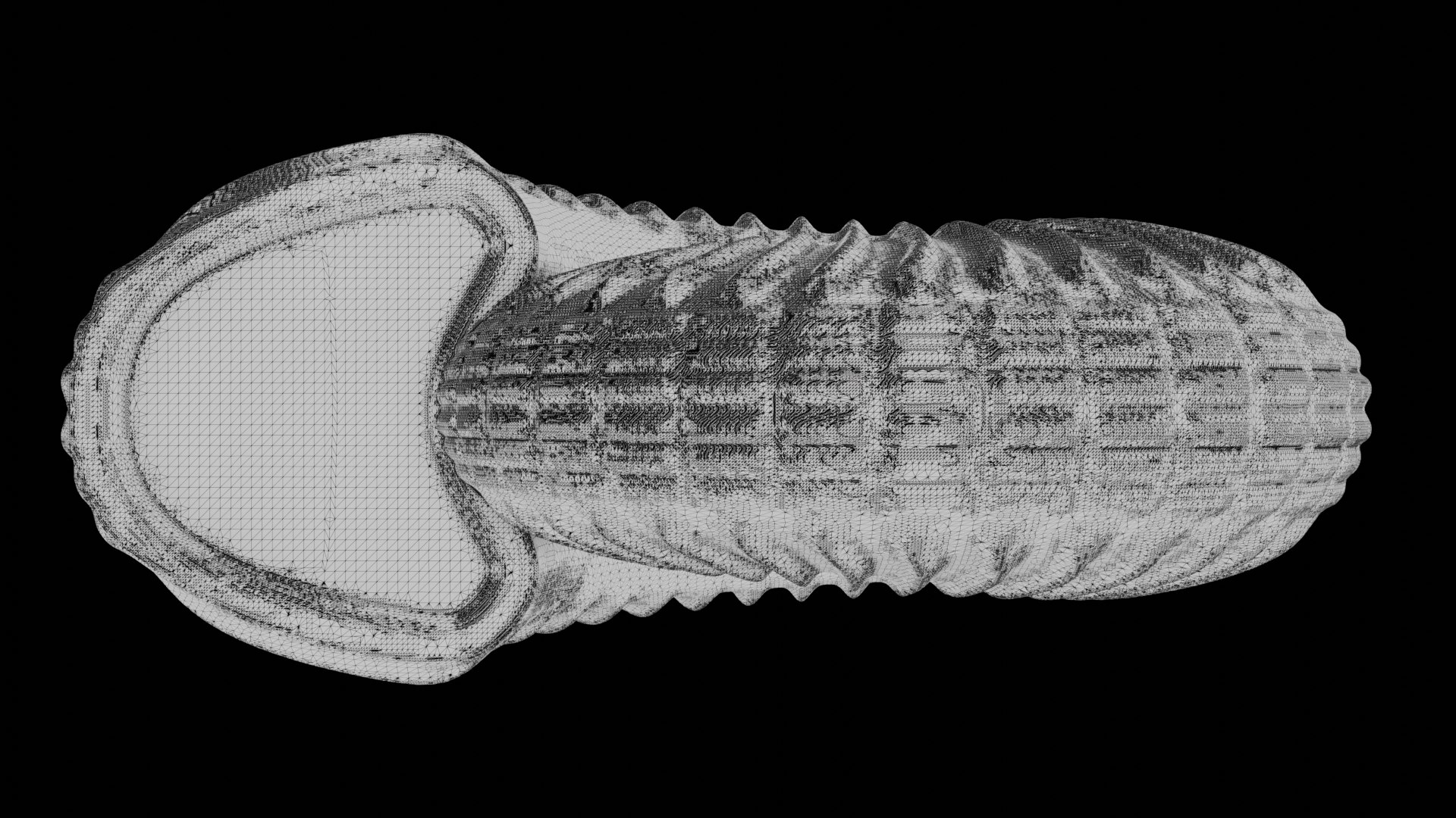 Ammonoid Shell With Ventral Nodes And Convex Ribs 3D - TurboSquid 2299086