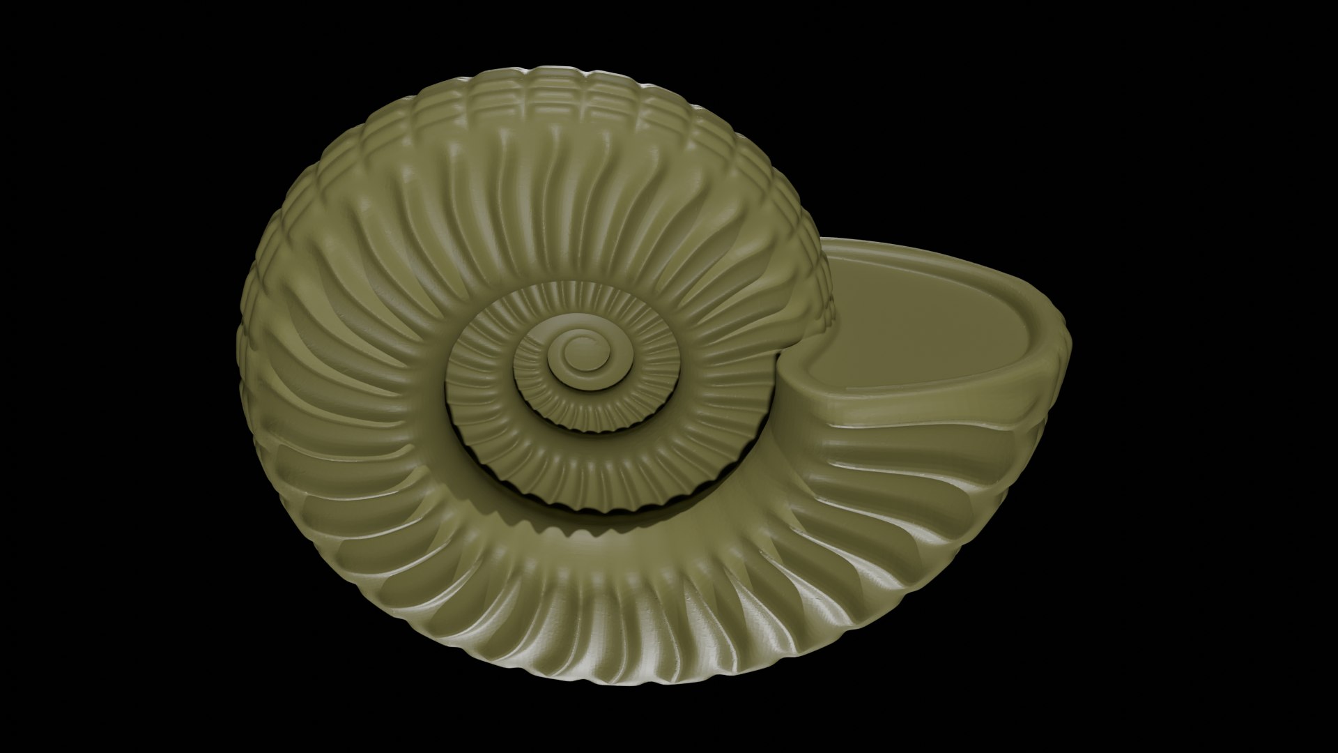 Ammonoid Shell With Ventral Nodes And Convex Ribs 3D - TurboSquid 2299086