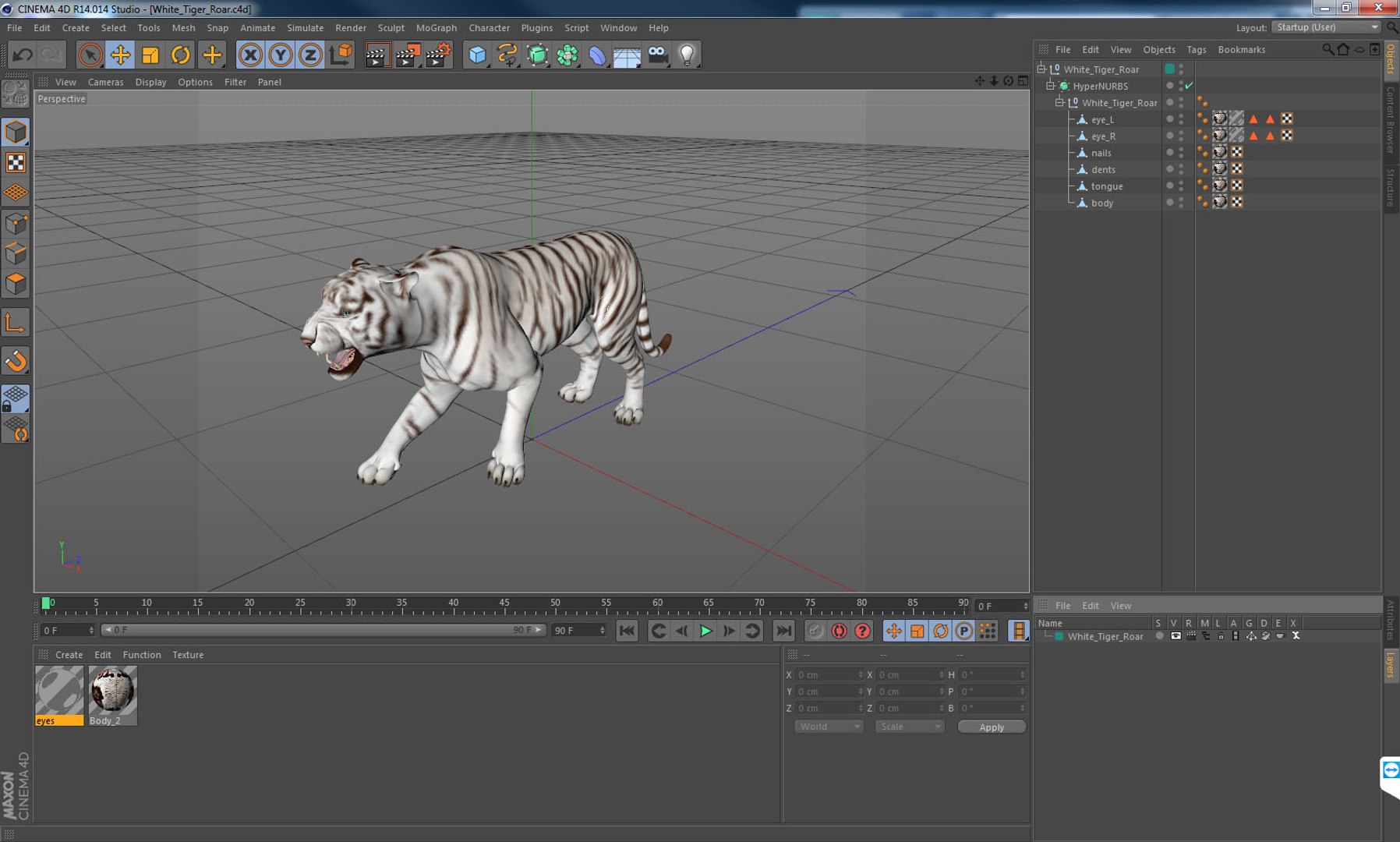 White tiger roar model - TurboSquid 1271734