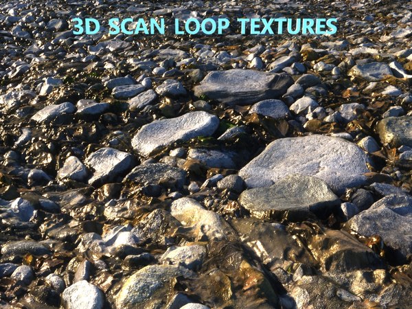 Forest ground 16k hd 3D model - TurboSquid 1328756