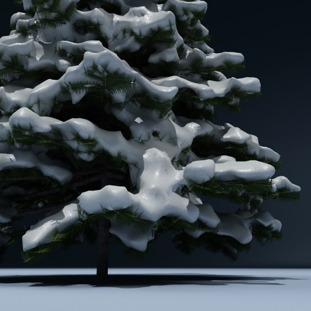 winter tree v5 3d model