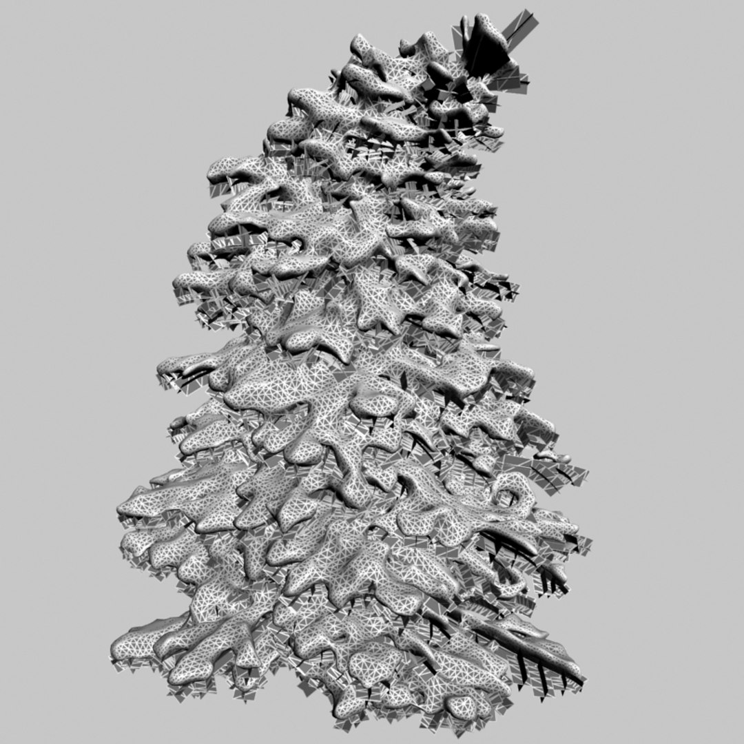 Winter Tree V5 3d Model