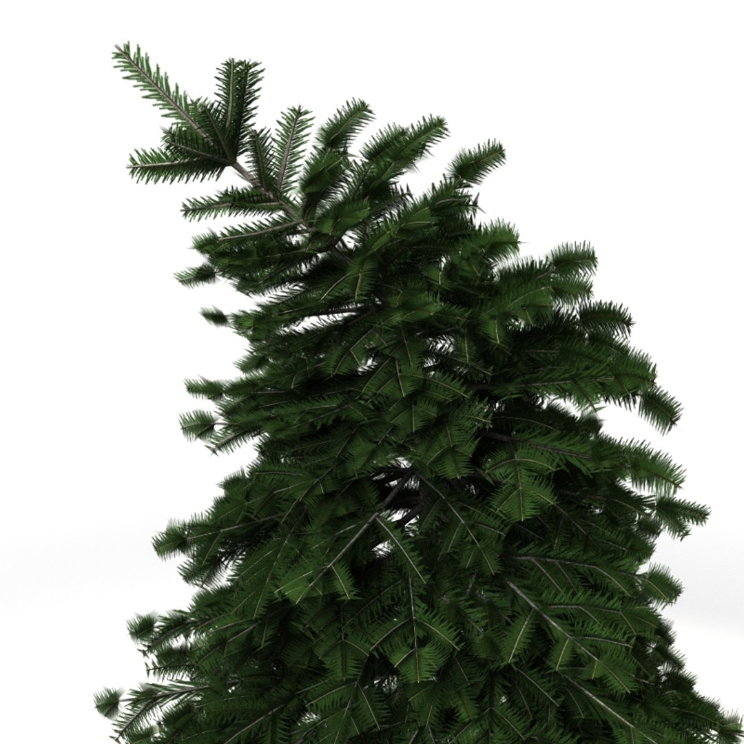 Winter Tree V5 3d Model