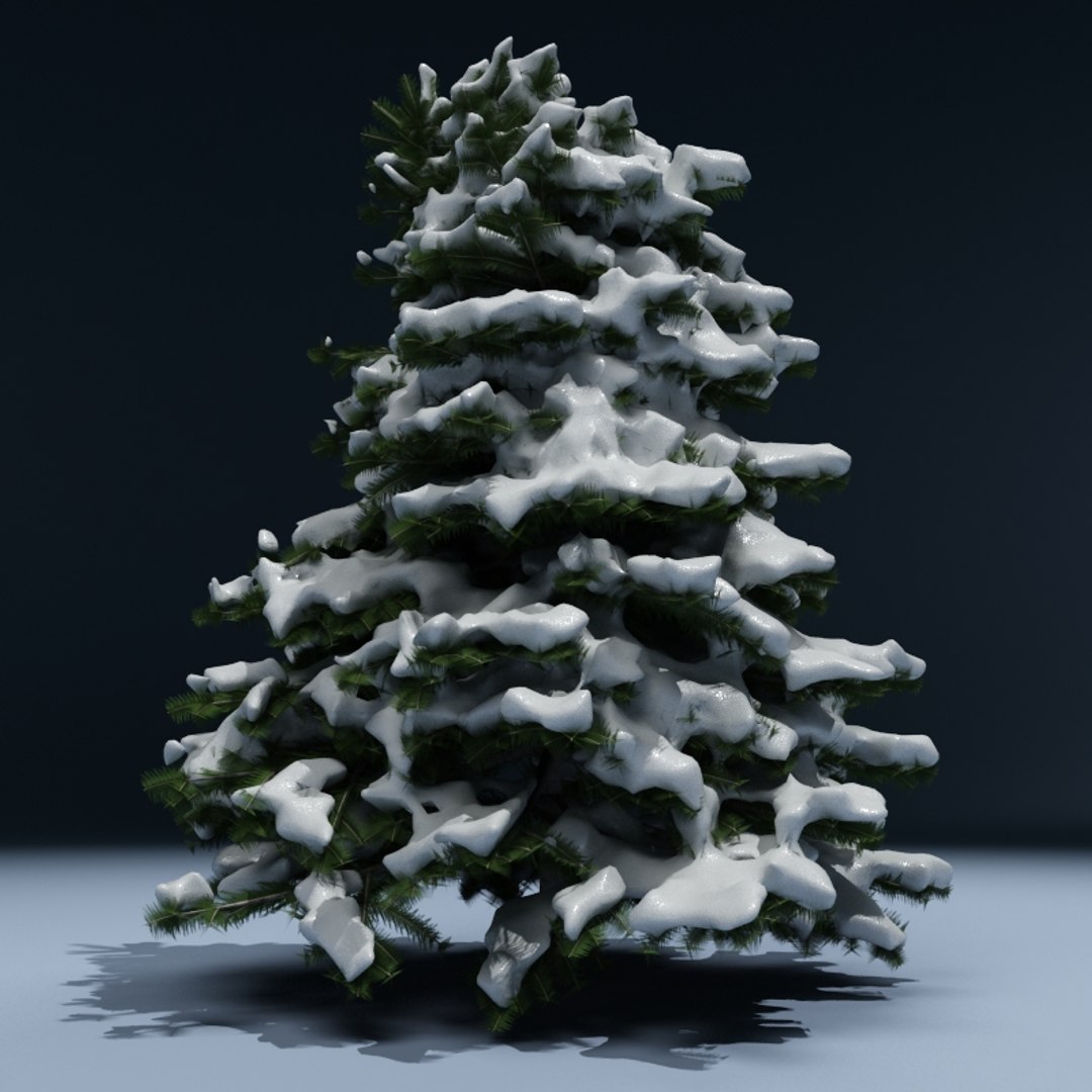 winter tree v5 3d model