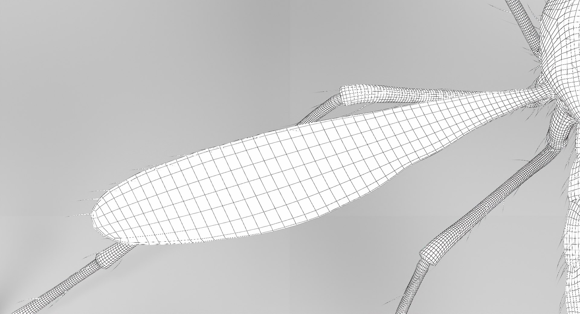 Mosquito 3D model - TurboSquid 2136875