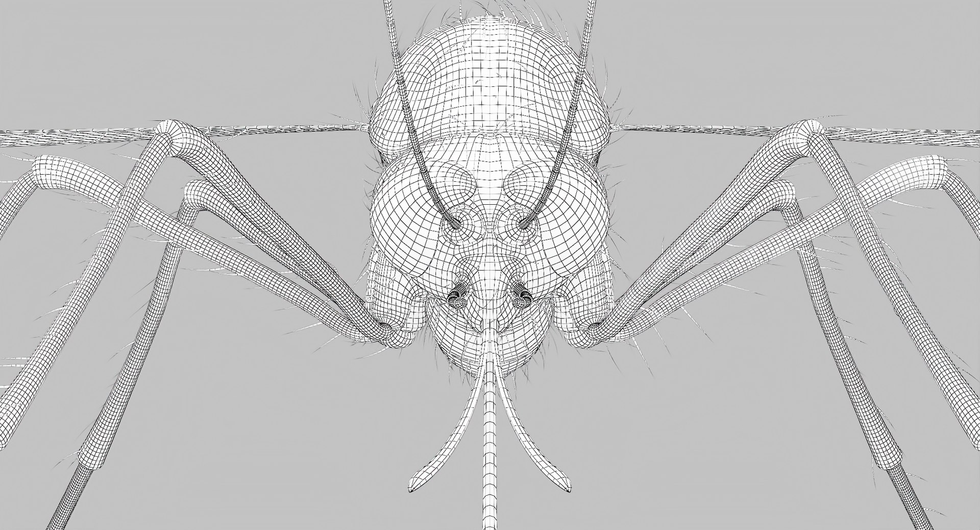 Mosquito 3D model - TurboSquid 2136875