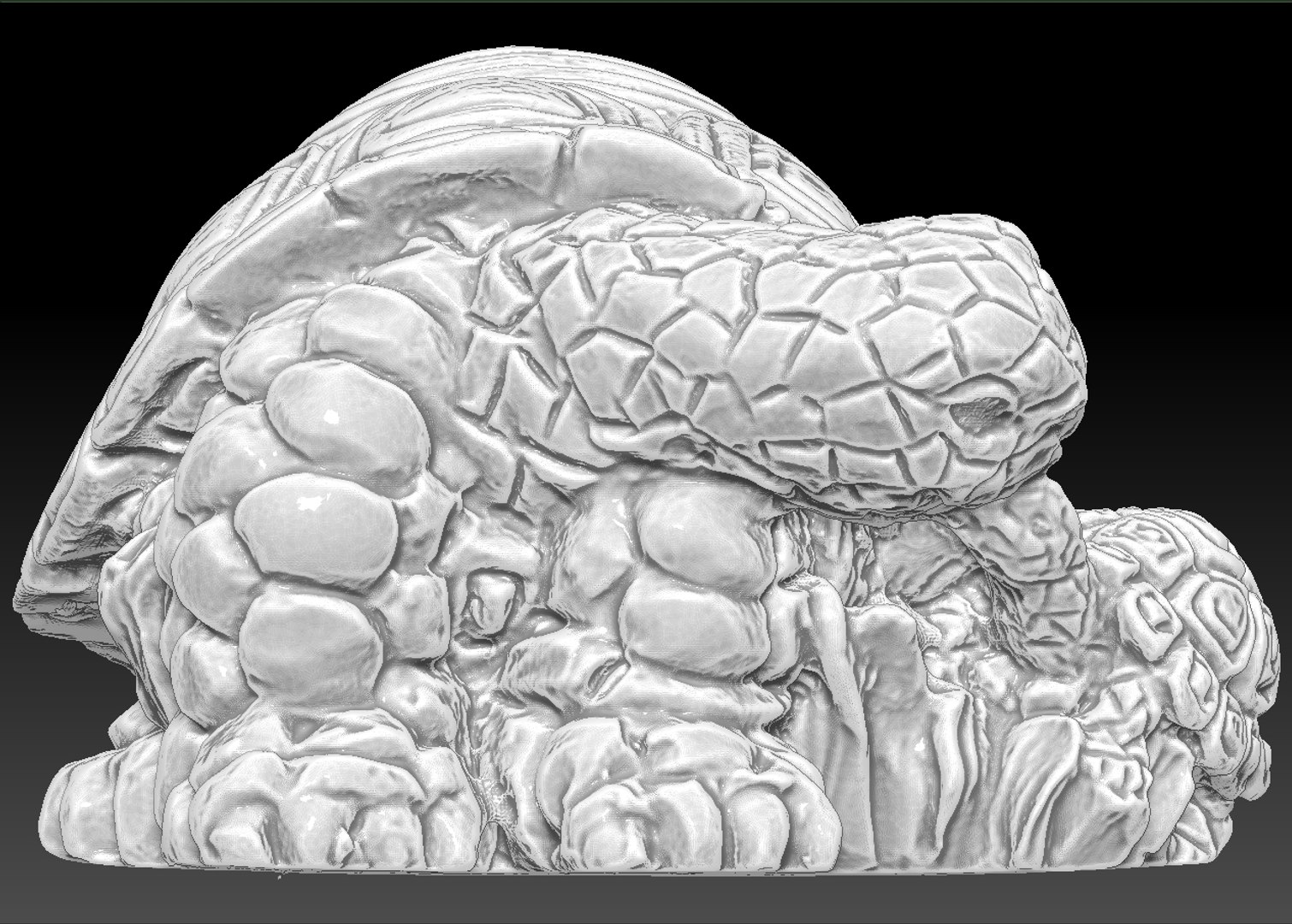 Scan Turtle Trinket Obj Free