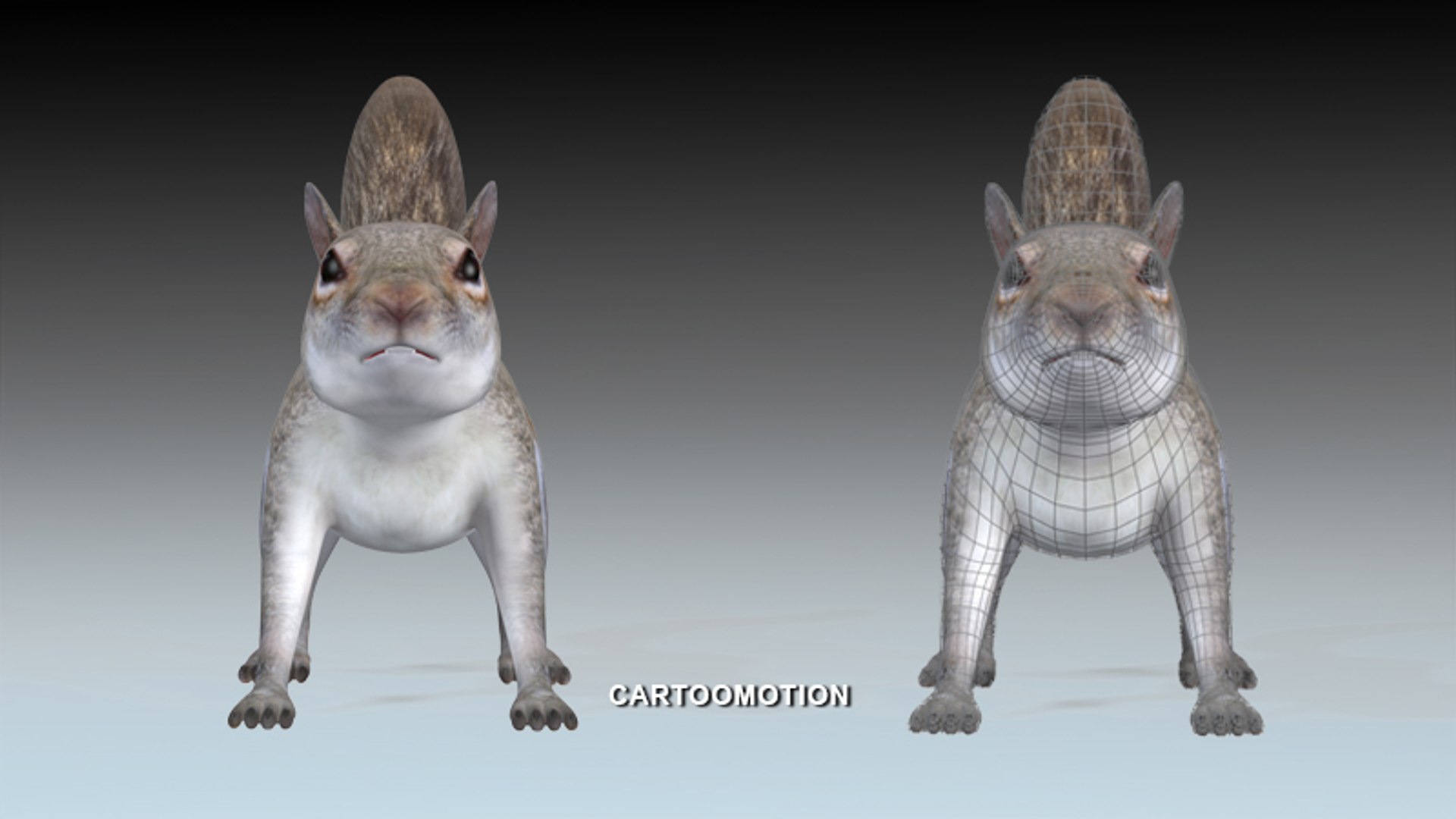Fox Squirrels 3d Model