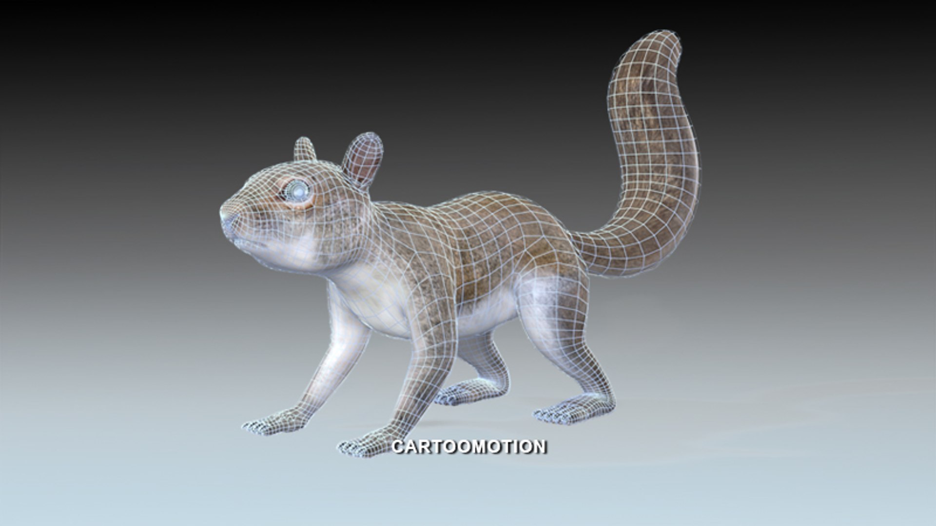 Fox Squirrels 3d Model