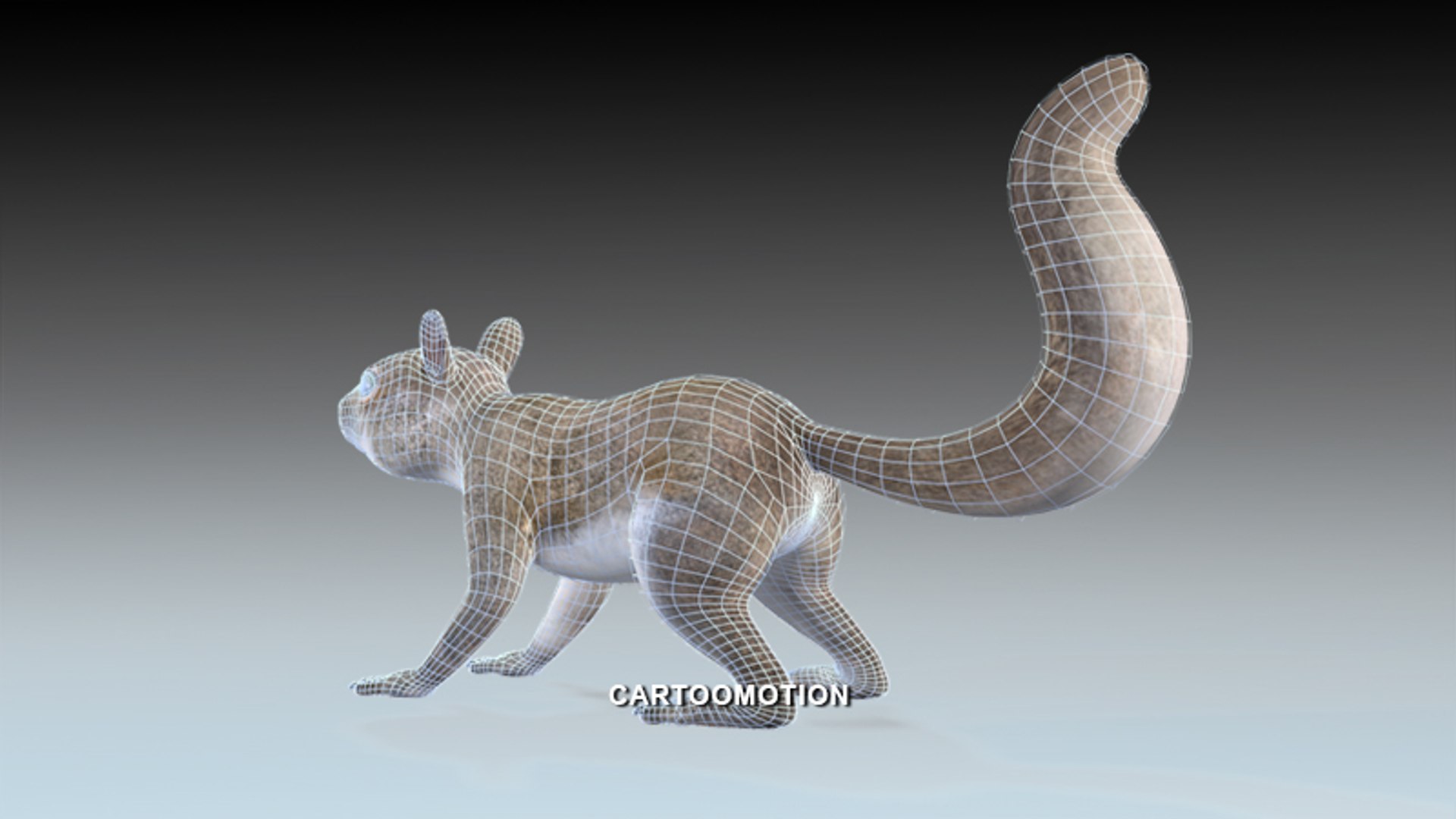 Fox Squirrels 3d Model