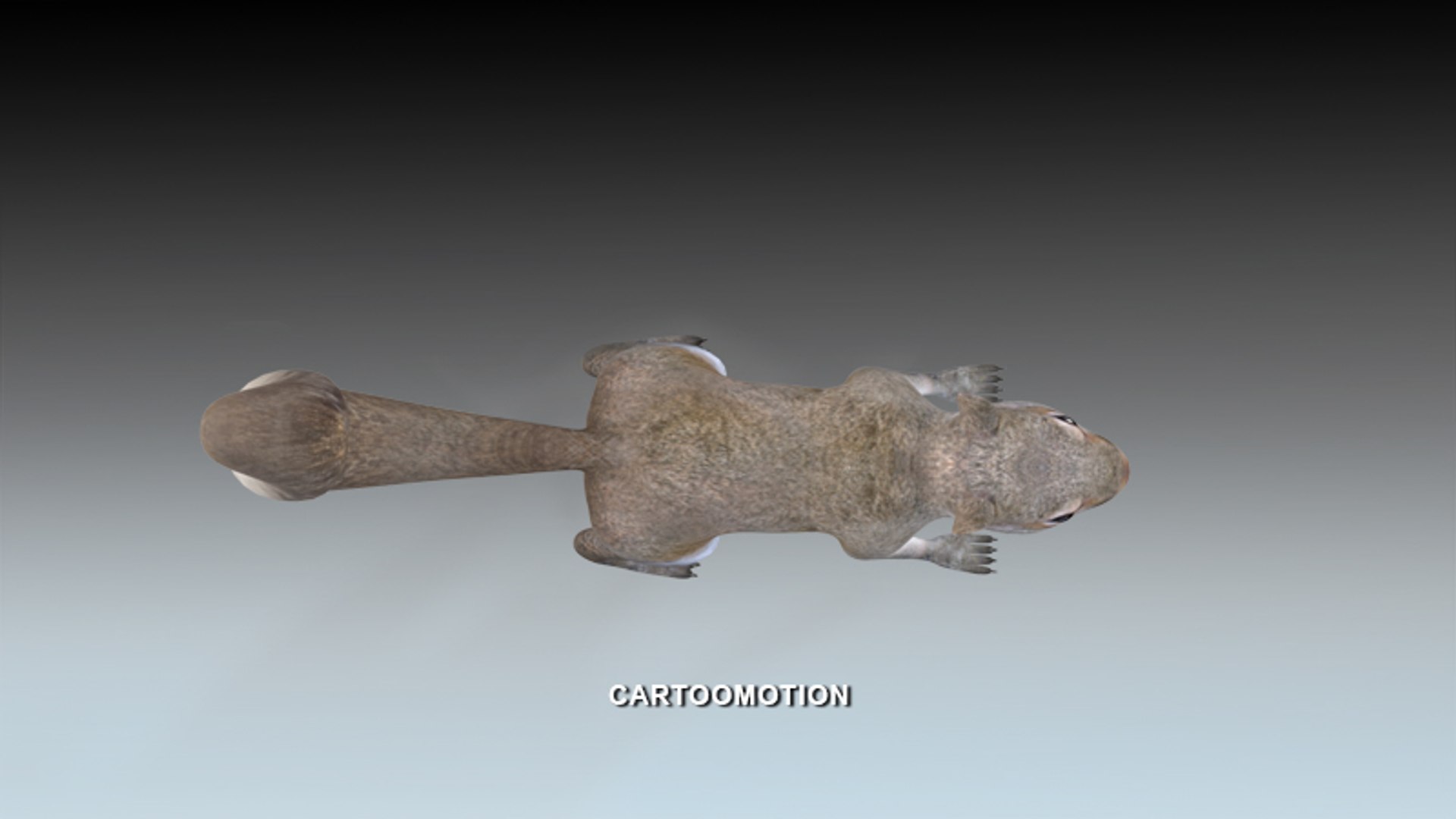 Fox Squirrels 3d Model