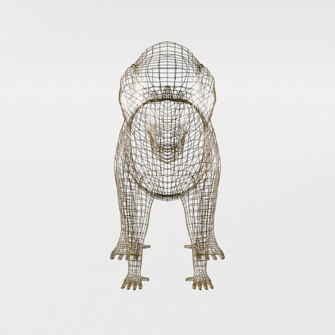 3D Mandrill Model - TurboSquid 1400199