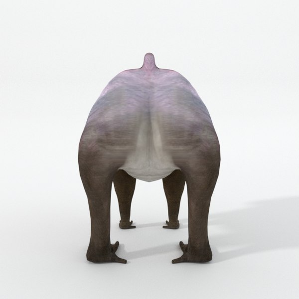 3D mandrill model - TurboSquid 1400199