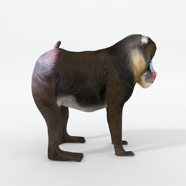 modelo 3d Mandril - TurboSquid 1400199