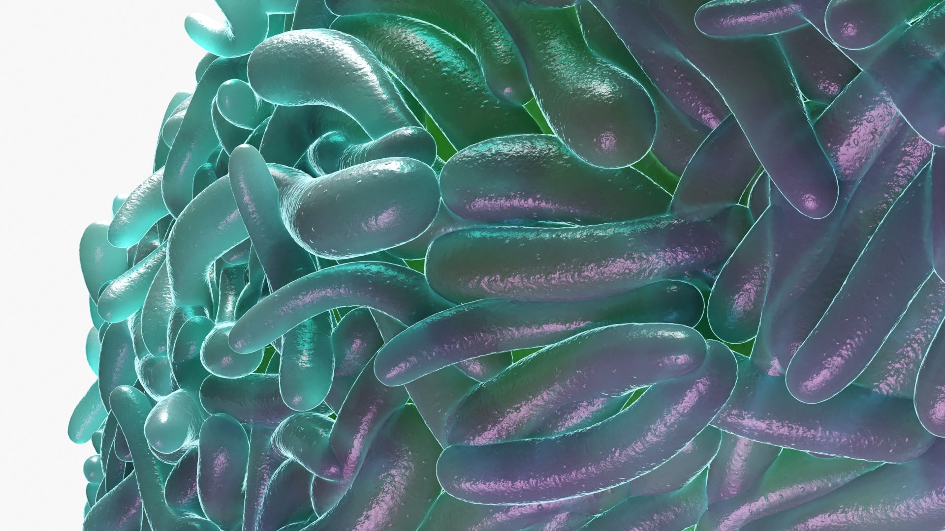 Monkeypox Split View Model - TurboSquid 1901654