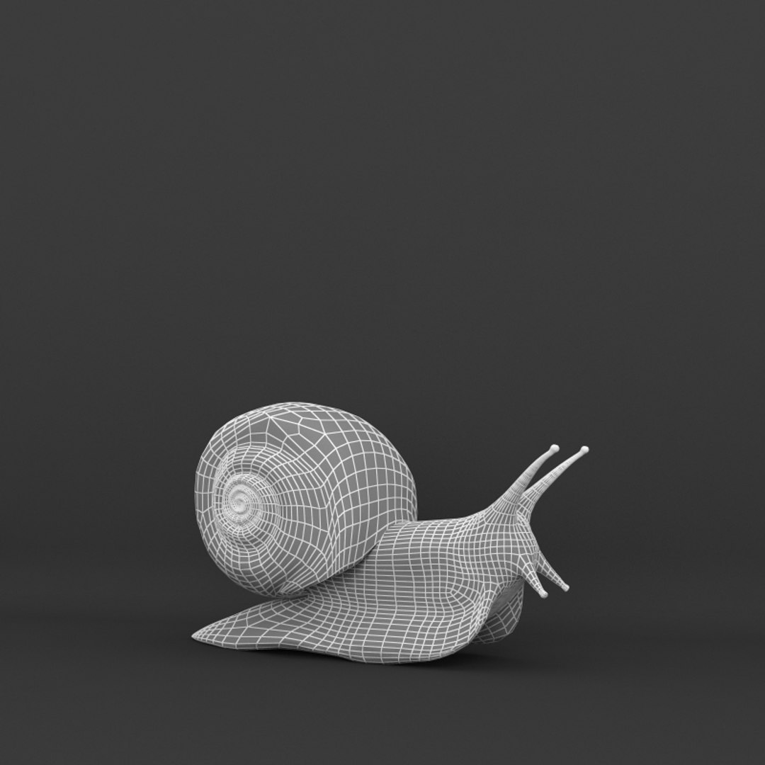 3ds Max Realistic Snail