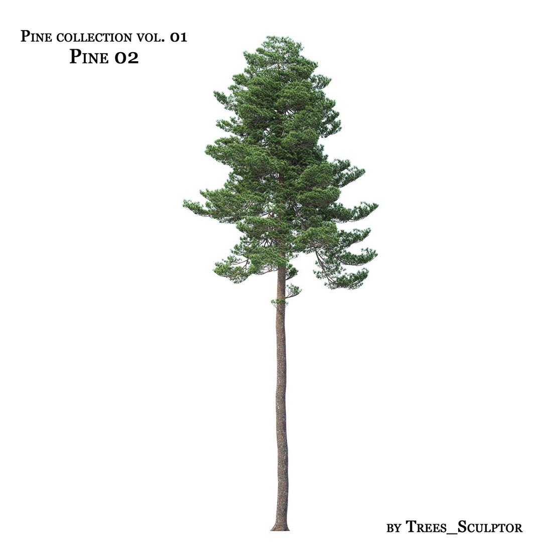 Pine-trees Pine Tree 3d 3ds