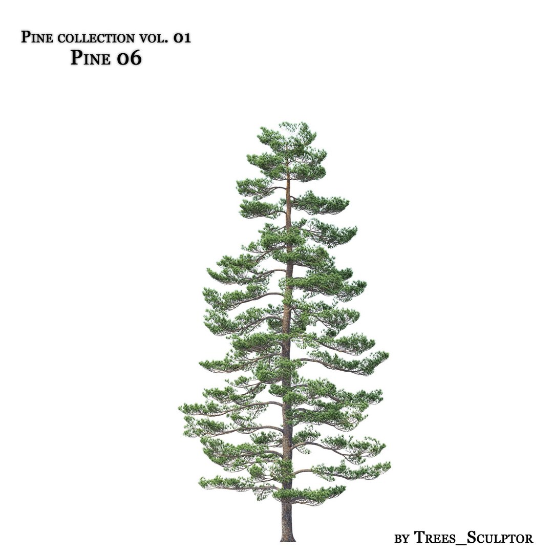 Pine-trees Pine Tree 3d 3ds