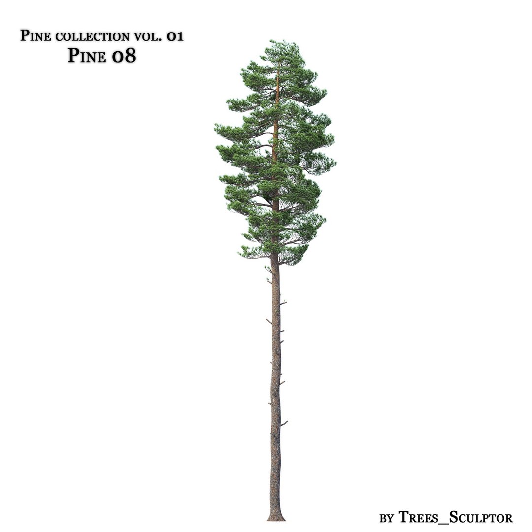 Pine-trees Pine Tree 3d 3ds