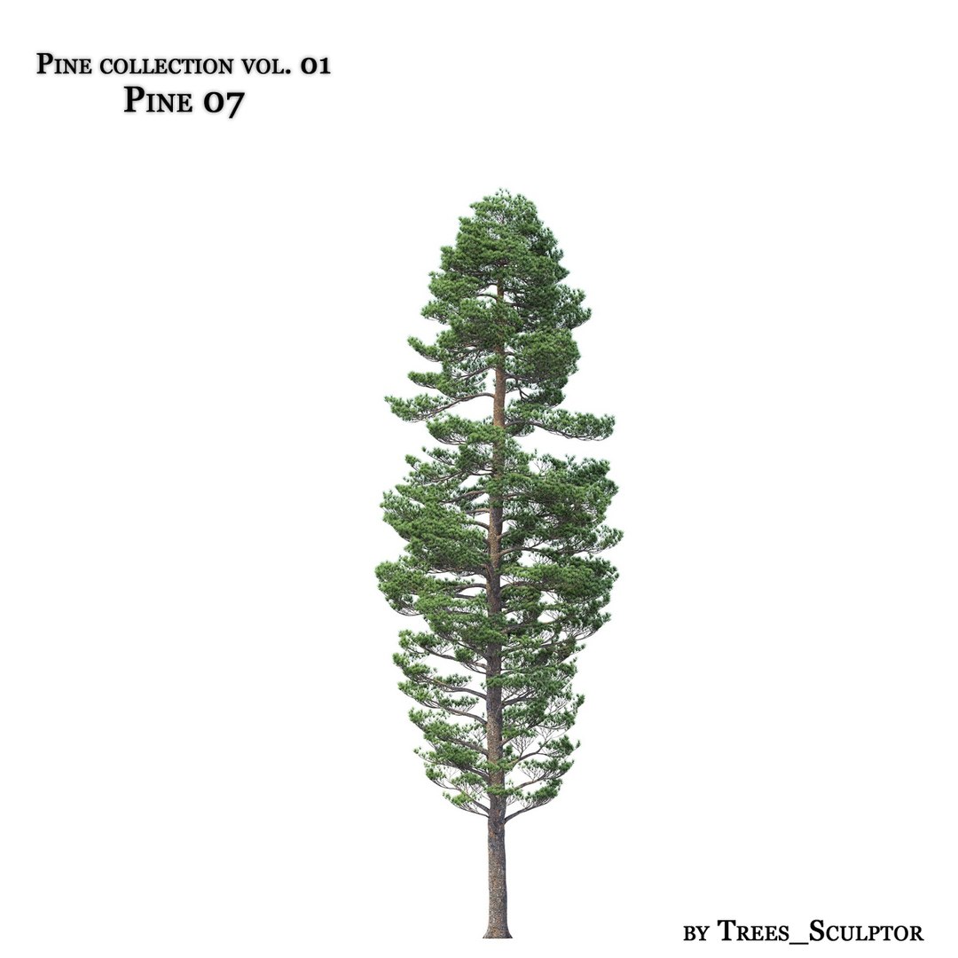 Pine-trees Pine Tree 3d 3ds