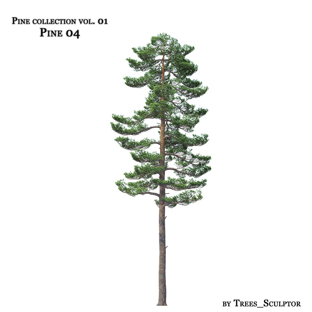 Pine-trees Pine Tree 3d 3ds