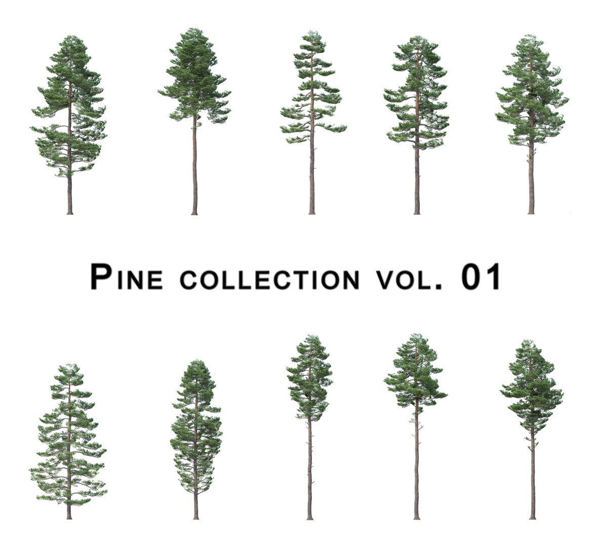 Pine-trees Pine Tree 3d 3ds