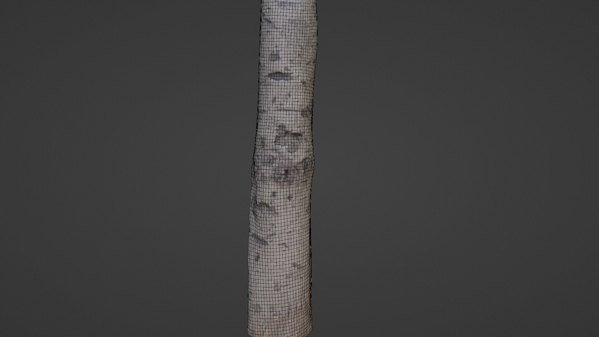 3D Birch Tree Bark - TurboSquid 2329893