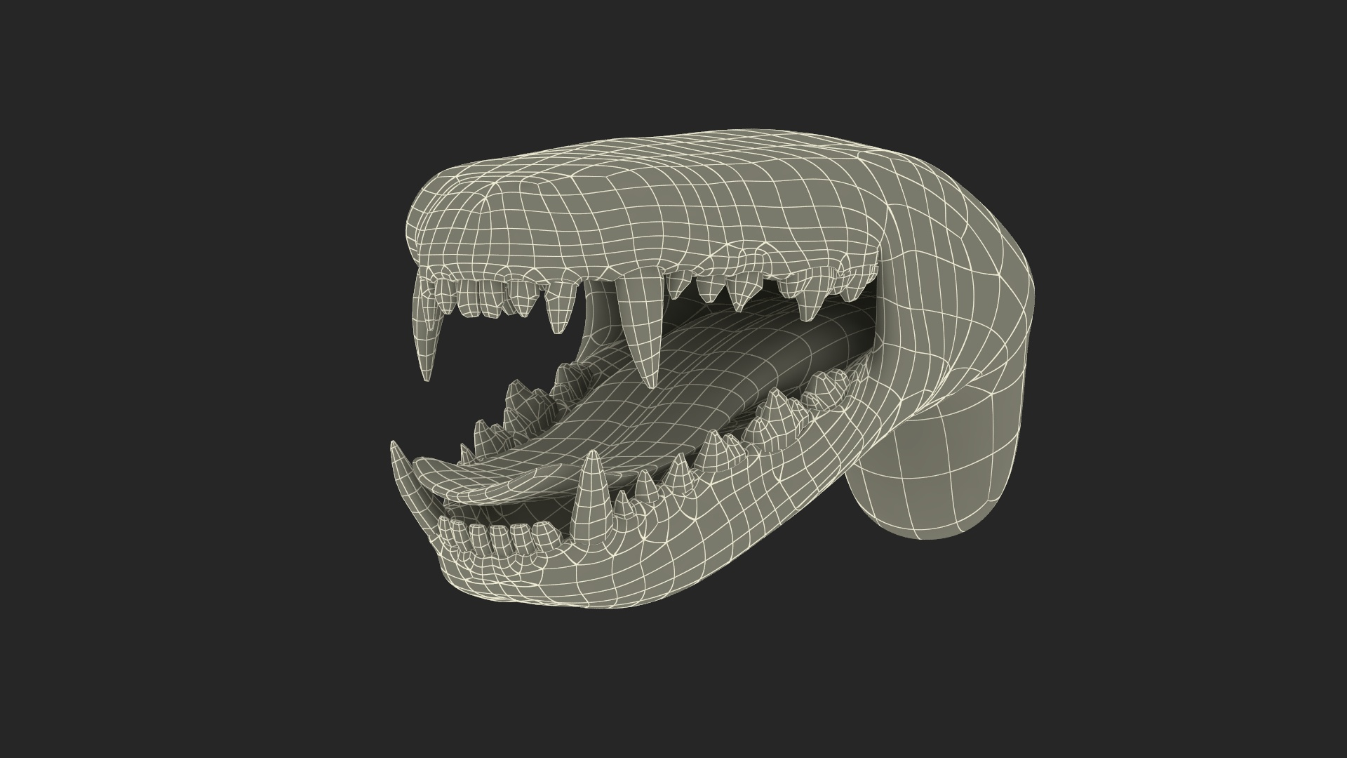 3D Dog Jaw Anatomic Rigged For Cinema 4D - TurboSquid 2255028