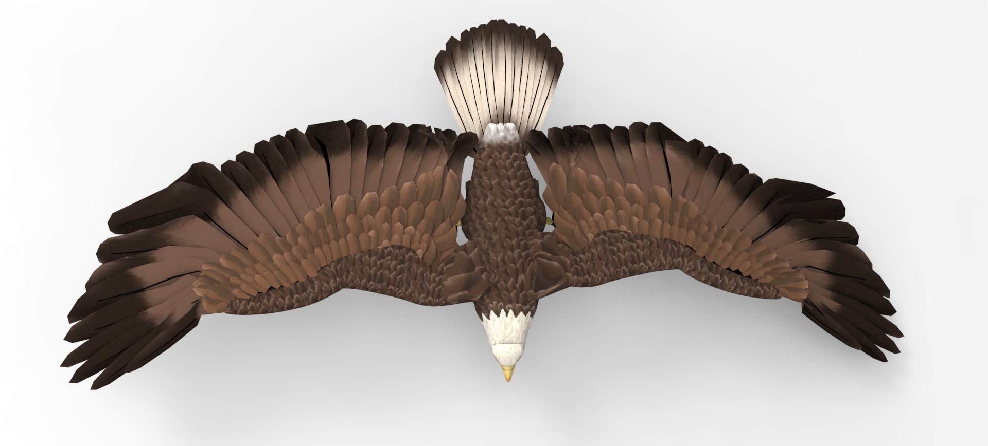 3D Eagle - Rigged - Animated Model - TurboSquid 2280033