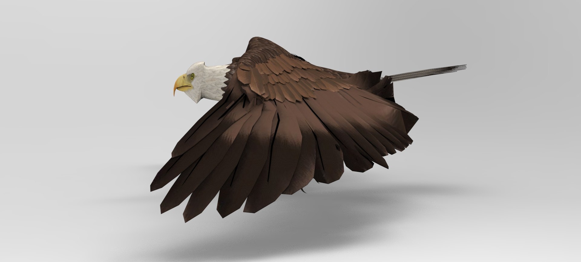 3D Eagle - Rigged - Animated Model - TurboSquid 2280033