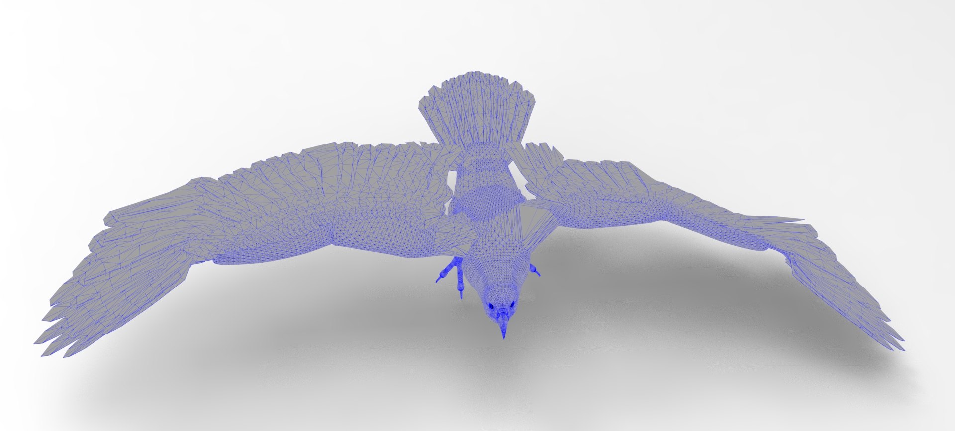 3D Eagle - Rigged - Animated Model - TurboSquid 2280033