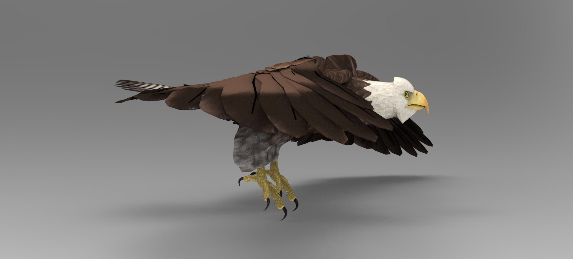 3D Eagle - Rigged - Animated Model - TurboSquid 2280033