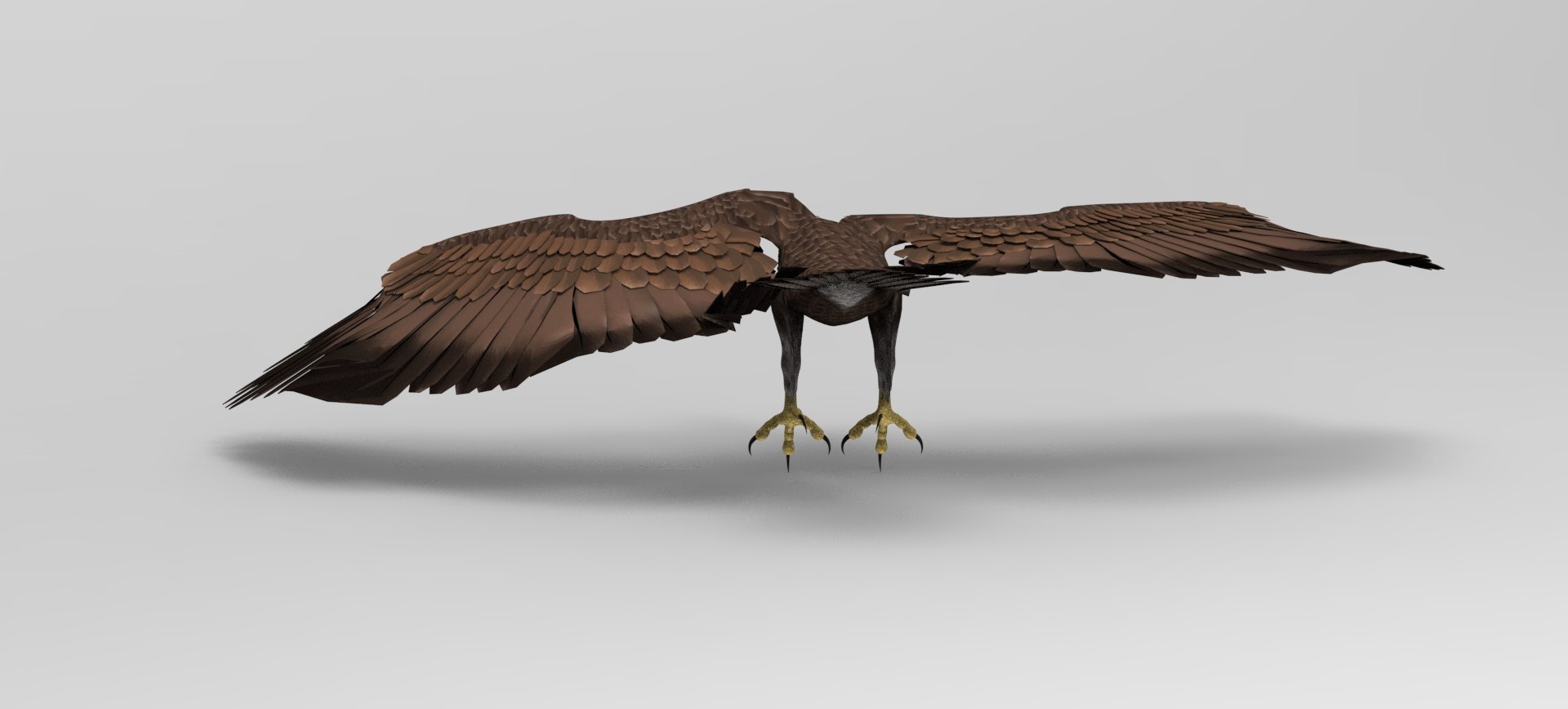 3D Eagle - Rigged - Animated Model - TurboSquid 2280033