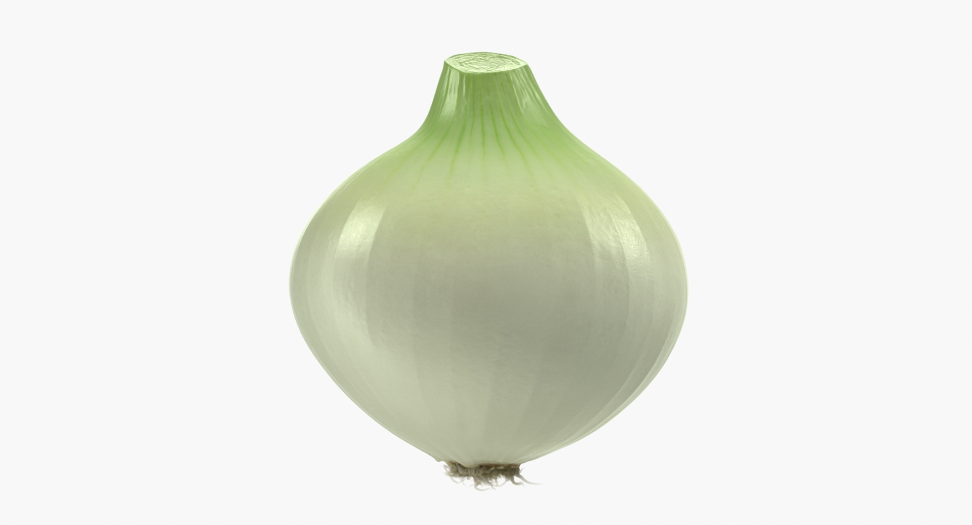 3D Model Onion - TurboSquid 1189337
