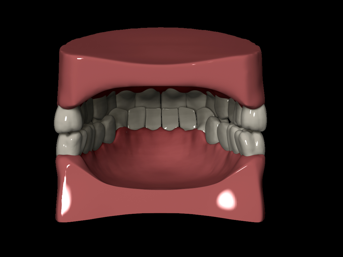 3D denture zbrush - TurboSquid 1160534