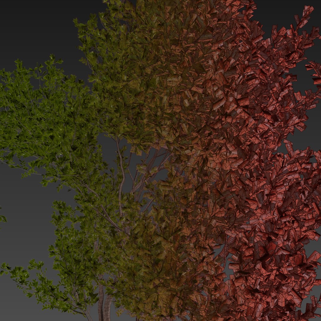 Collection Plant Vol 536 - Tree - Outdoor - Urban Environment 3D Model ...
