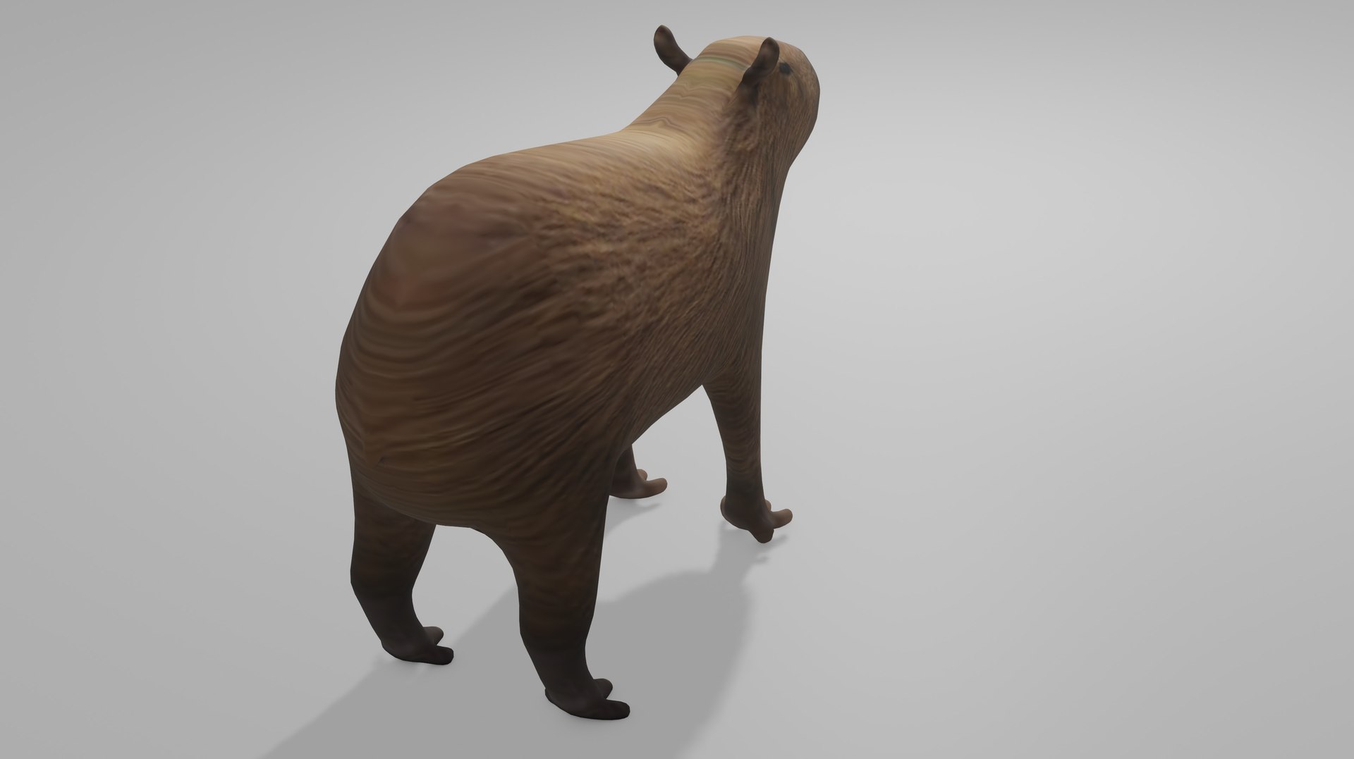 3D Model Capybara OBJ - TurboSquid 2260773