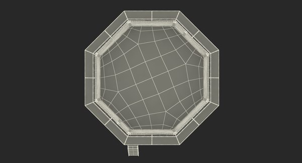 Ufc fighting arena 3D model - TurboSquid 1255813
