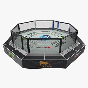 octagon arena ufc fighting 3d model