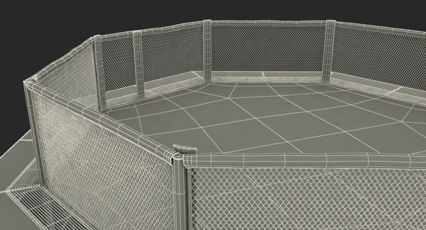 Ufc fighting arena 3D model - TurboSquid 1255813