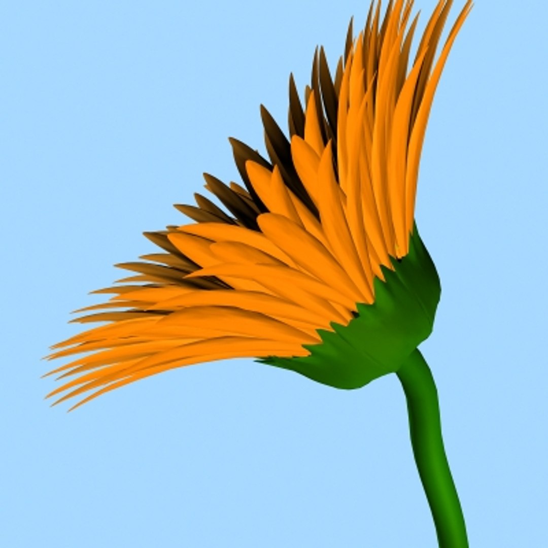 Flower 3d Model