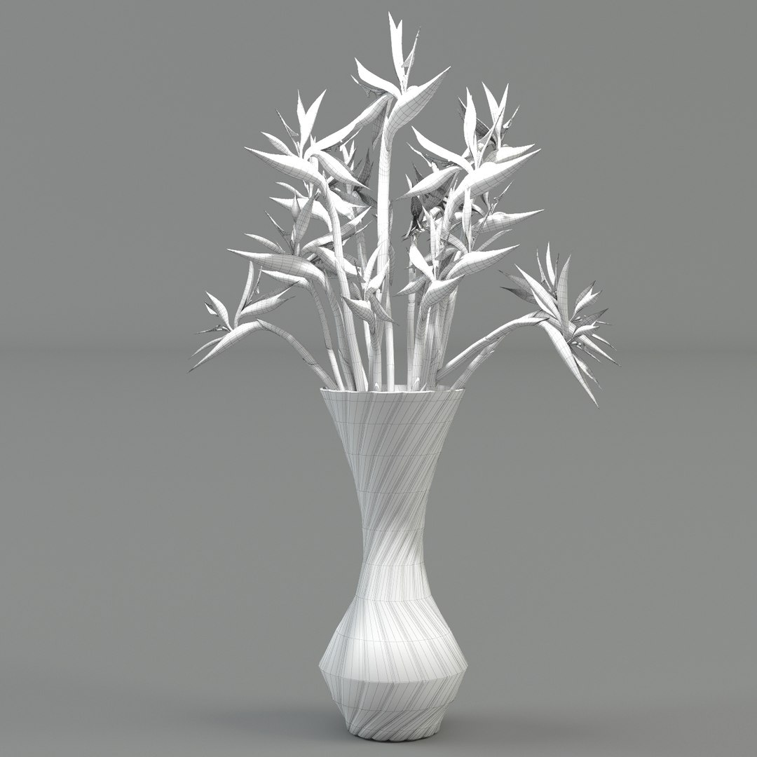 3d Strelitzia Flower Model