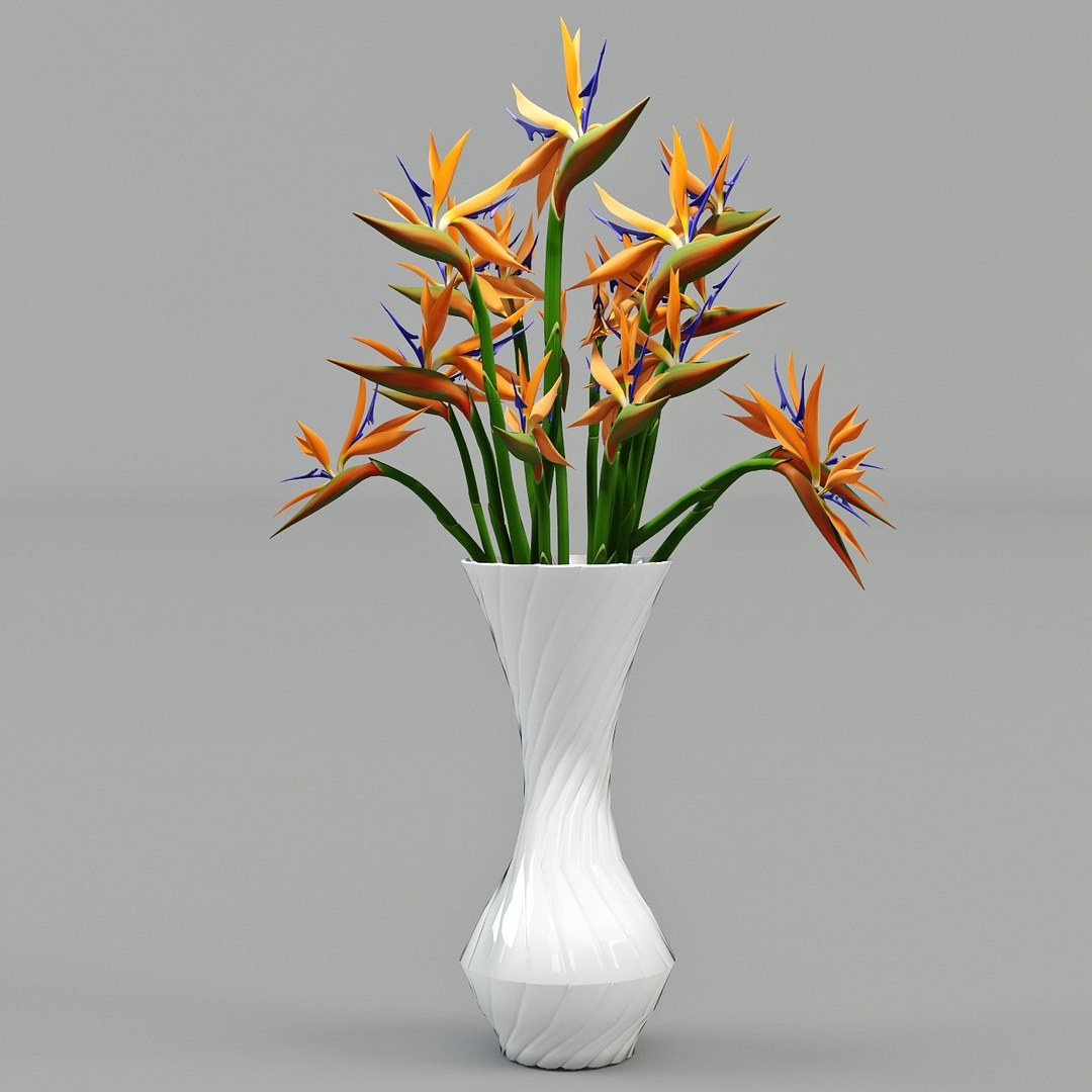 3d Strelitzia Flower Model