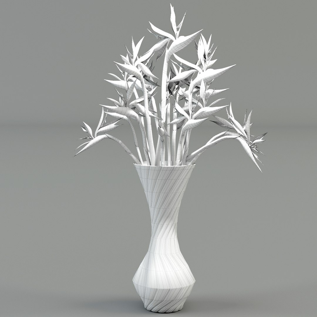3d Strelitzia Flower Model