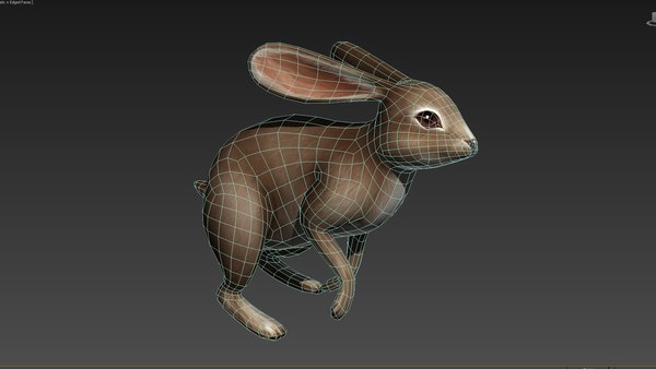 3D animated rabbit model - TurboSquid 1924621