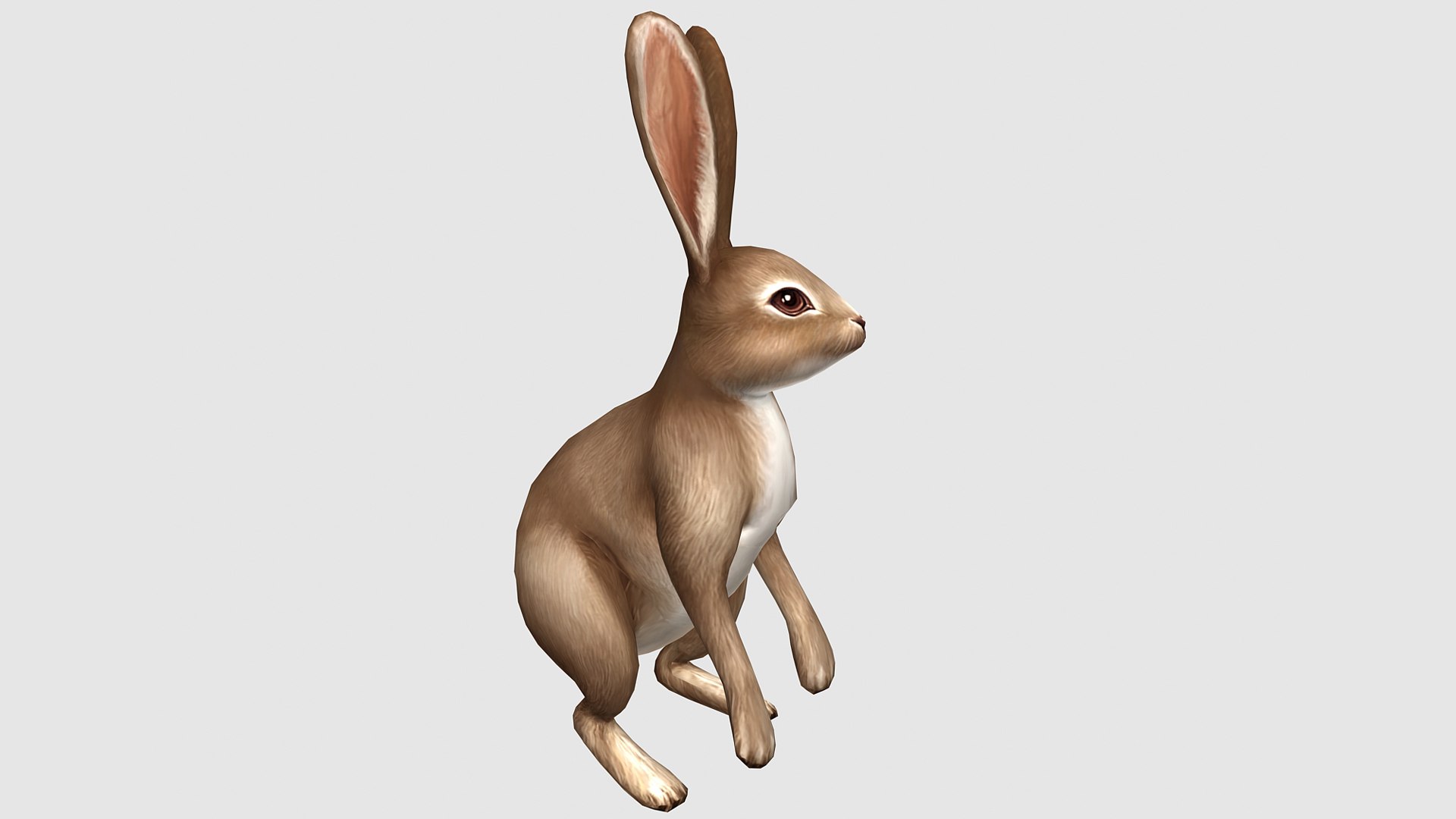 3D animated rabbit model - TurboSquid 1924621