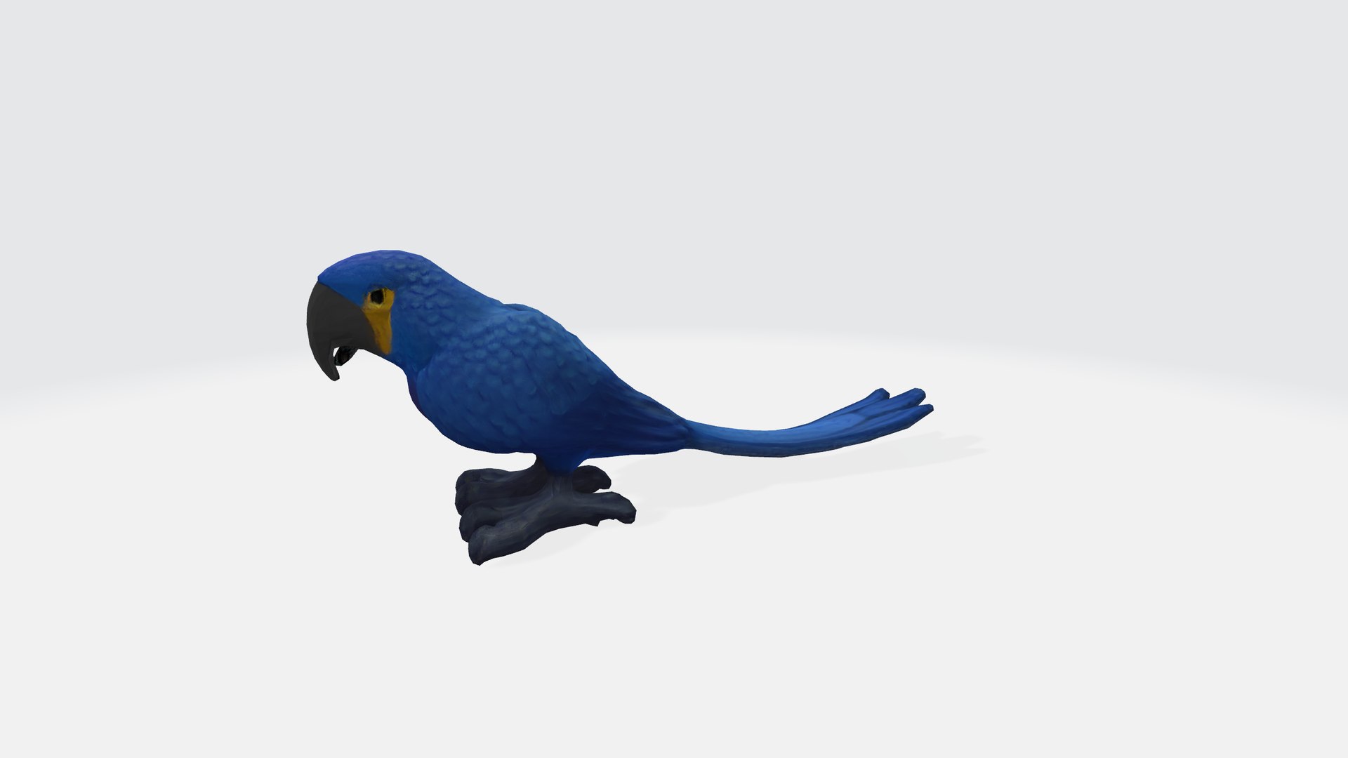 3D Macaw Parrot 3d Model - TurboSquid 2359400