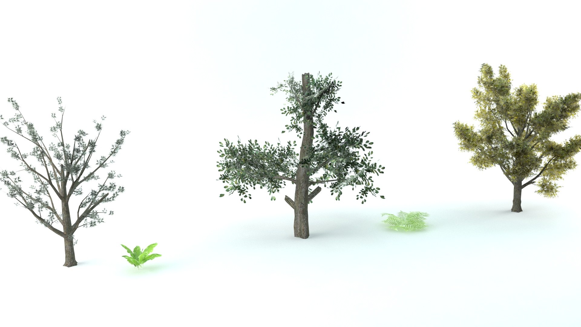 Set Vegetation 3D Model - TurboSquid 1318732